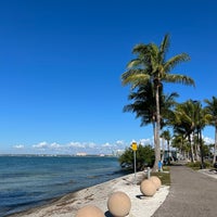 Bird Key Park - Sarasota, FL