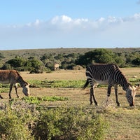 De Hoop Nature Reserve - Skihaven, Western Cape