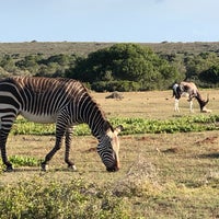 De Hoop Nature Reserve - Skihaven, Western Cape