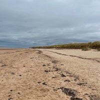 Crosby Beach - 20 tips from 1158 visitors