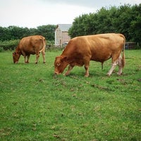 Trevaskis Farm - Gwinear