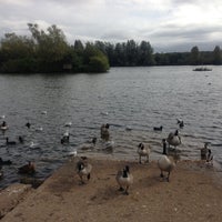 Thatcham Nature Discovery Centre - 9 tips from 200 visitors