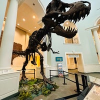 Mayborn Museum Complex - Baylor University - 15 tips