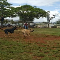 Mililani Dog Park - Mililani Town, HI