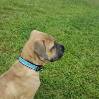 Mililani Dog Park - Mililani Town, HI