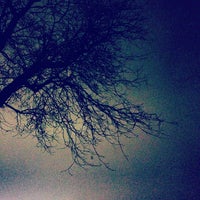 Trago Park - Playground