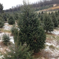 Battenfeld's Christmas Tree Farm - Rhinebeck, NY