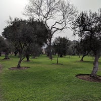 Bosque El Olivar - Park in San Isidro