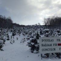 Battenfeld's Christmas Tree Farm - Rhinebeck, NY