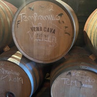 Vena Cava Vinícola - Rancho San Marcos, Toros Pintos, Valle de Guadalupe