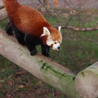 Yorkshire Wildlife Park - Zoo in Doncaster