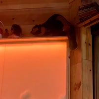 Forest Room 5 - Bar in Highland