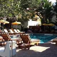 The Pool at Freehand Miami - Ocean Front - Miami, FL