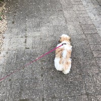 Putte - Putte - Antwerpen, Antwerpen