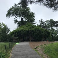 Central Park - Cop Cottage - Central Park - 5 tips