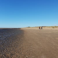 Crosby Beach - 15 tips from 883 visitors