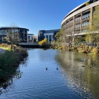 The River Chelmer - River