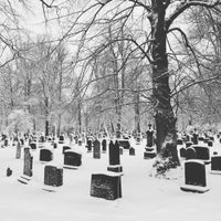 Halifax Professional Centre - 5991 Spring Garden Road