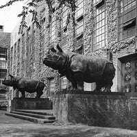 Harvard Biological Laboratories - Aggasiz - Harvard University - 4 tips ...