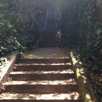 Codornices Park - Berkeley Hills - 18 tips from 955 visitors