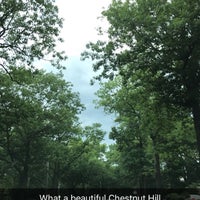 Chestnut Hill Square - Chestnut Hill, MA