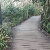 Mooloolaba Boardwalk