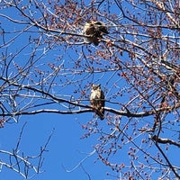 Heckrodt Nature Preserve - Menasha, WI