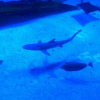 Portland Aquarium - 18 tips from 570 visitors