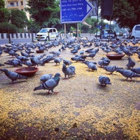 Chittaranjan Park - 12 tips from 438 visitors