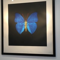 Andipa Gallery - Art Gallery in Kensington and Chelsea