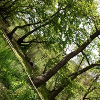 Drakiana Traditional Taverna - 2 tips from 71 visitors