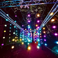 Hylands Park - 6 tips from 683 visitors