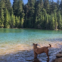 Timothy Lake - Mount Hood, OR