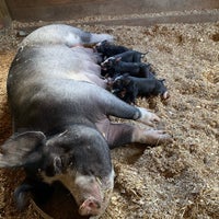 Muscoot Farm - 21 tips from 1061 visitors