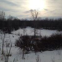Burchfield Park - Trail in Holt