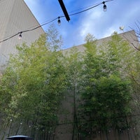 Comal - Mexican Restaurant in Downtown Berkeley