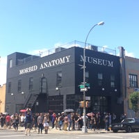 Morbid Anatomy Library (Now Closed) - Art Gallery in Gowanus