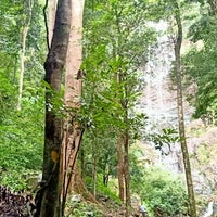 Temurun Waterfall - 11 tips from 994 visitors