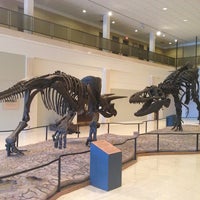 TTU - Museum of Texas Tech - Museum in Lubbock