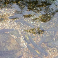 Cave Spring, Georgia - 4 tips from 377 visitors