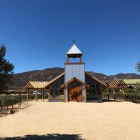 Vena Cava Vinícola - Rancho San Marcos, Toros Pintos, Valle de Guadalupe
