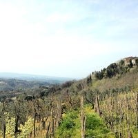 Ponsacco - 111 visitors