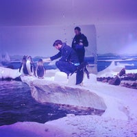 Sea Life London Aquarium - Waterloo - 128 tips