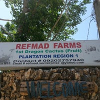 Refmad Farm, Dragon Fruits