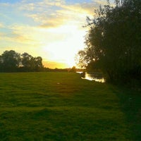Fen Ditton Meadows - 1 tip