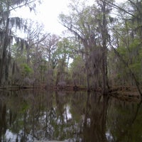 Caddo Lake - Lake