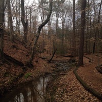 Big Trees Forest Preserve - Sandy Springs, GA