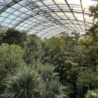 Masoala Halle - Hottingen - 12 tips from 739 visitors