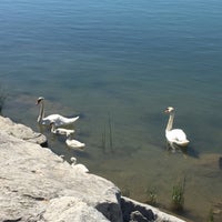 Lexington Pier - 7342-7390 Huron Ave