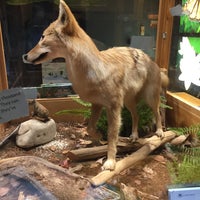 Earthplace, The Nature Discovery Center - 2 tips from 172 visitors